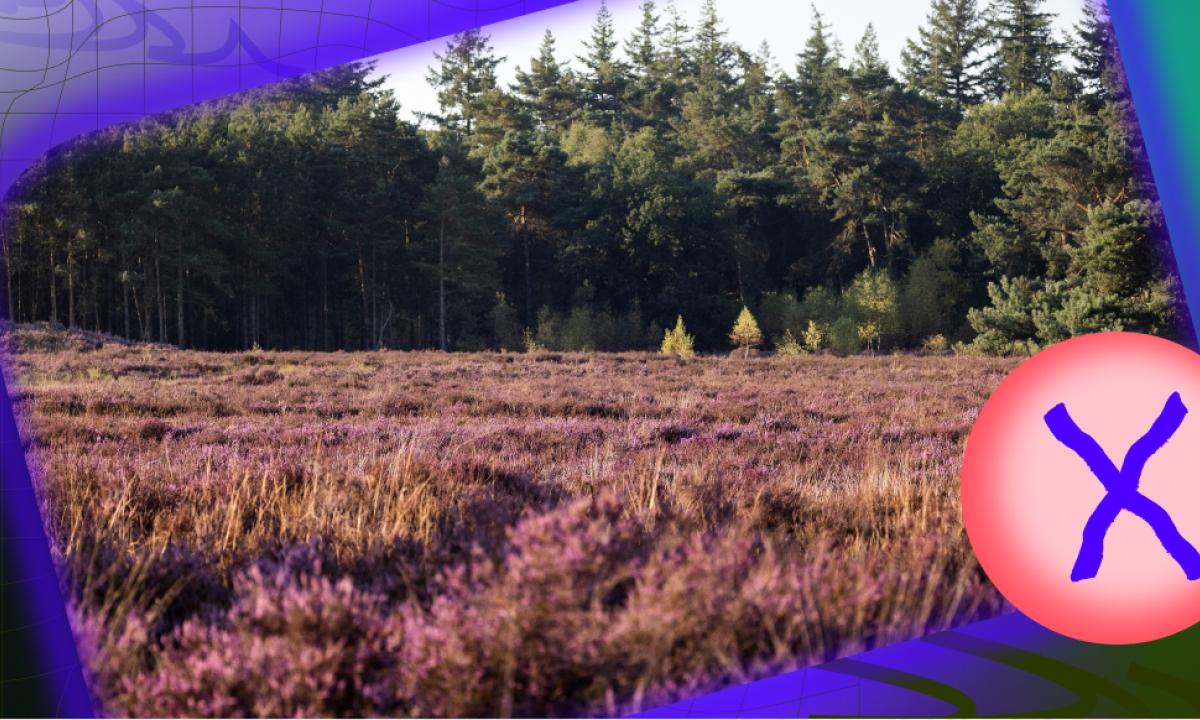 Stikstofverlamming? Schrap wat natuurgebieden van de lijst! | Pointer ...
